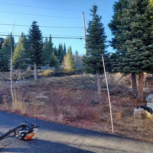 Brush Clearing Mastication Truckee CA - Jeremiahs Tree Service