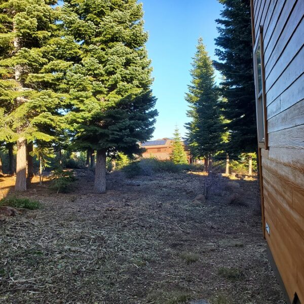 Brush Clearing Mastication Truckee CA - Jeremiahs Tree Service